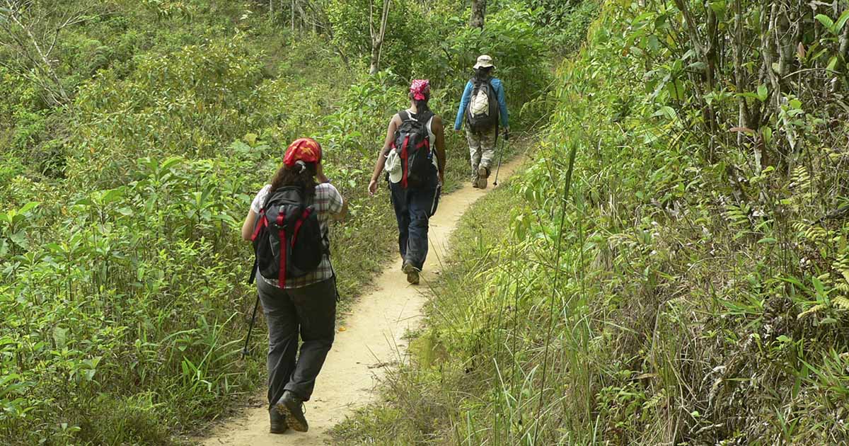 Discovering the “Orchid’s Trail” - The Panama Resident