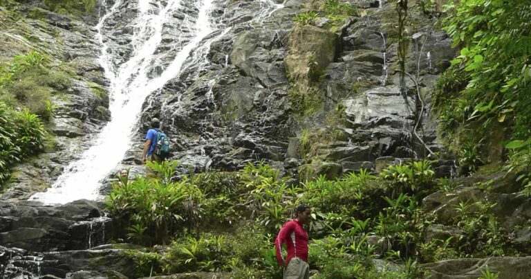 Discovering the “Orchid’s Trail” - The Panama Resident